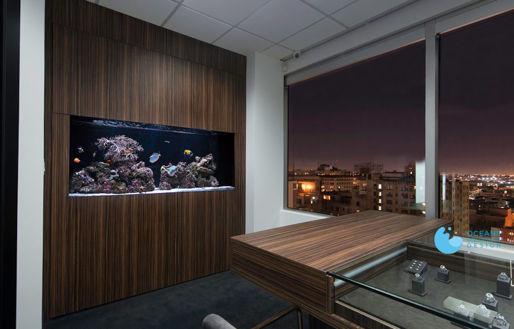 Advanced Aqua Tanks – Makers of the worlds finest aquariums